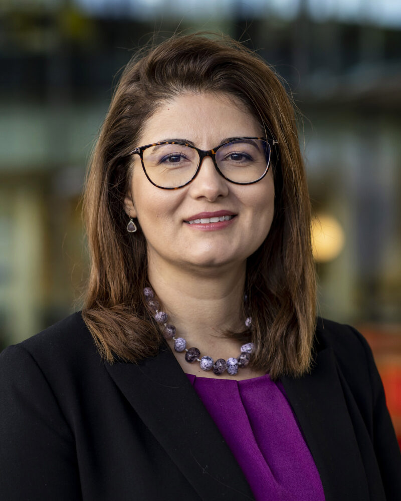 Prof. Aida Todri-Sanial – Aida Todri-Sanial